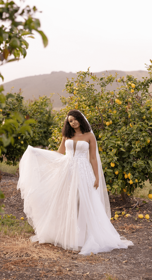 Savannah - The White Dress